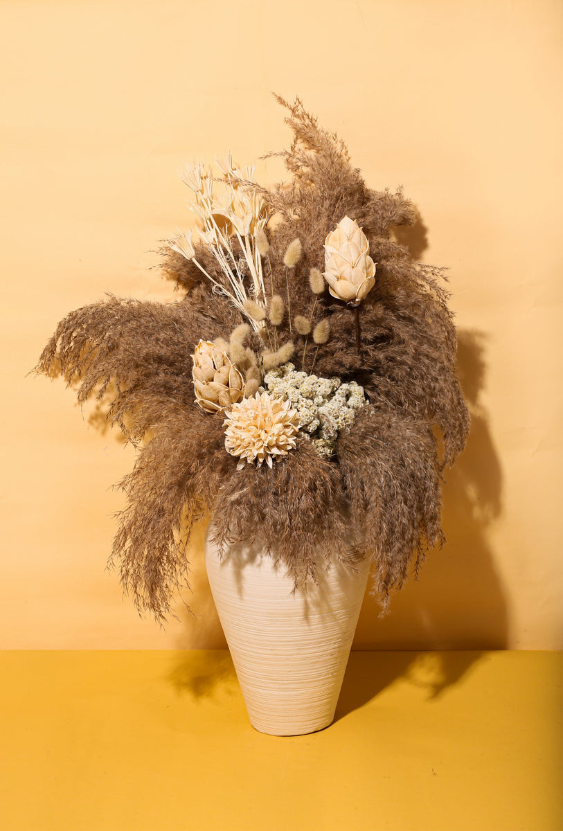 Cadence – Flower Lab In